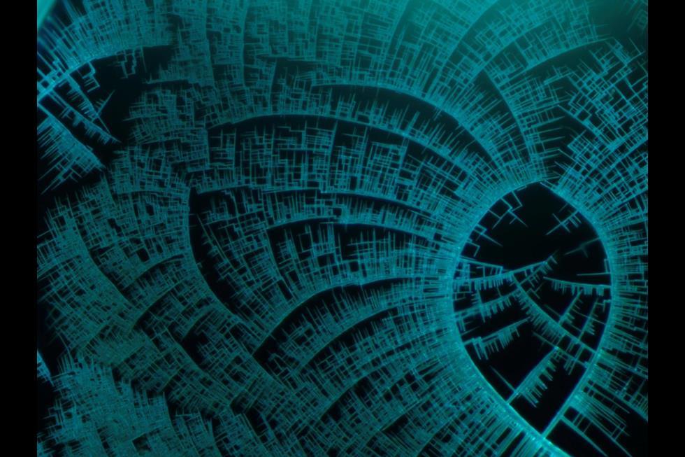 Fractal crystals win fashion design contest | Research | Chemistry World